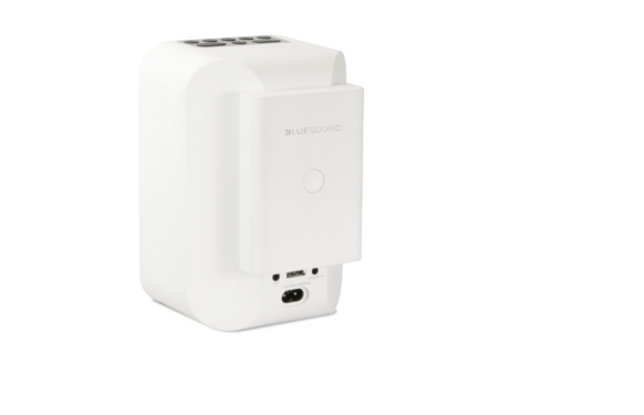 Bluesound Pulse Flex Battery Pack • Botman Sound & Vision